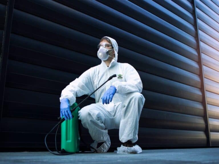 Pest Control & Exterminator Services in Seattle Since 1981